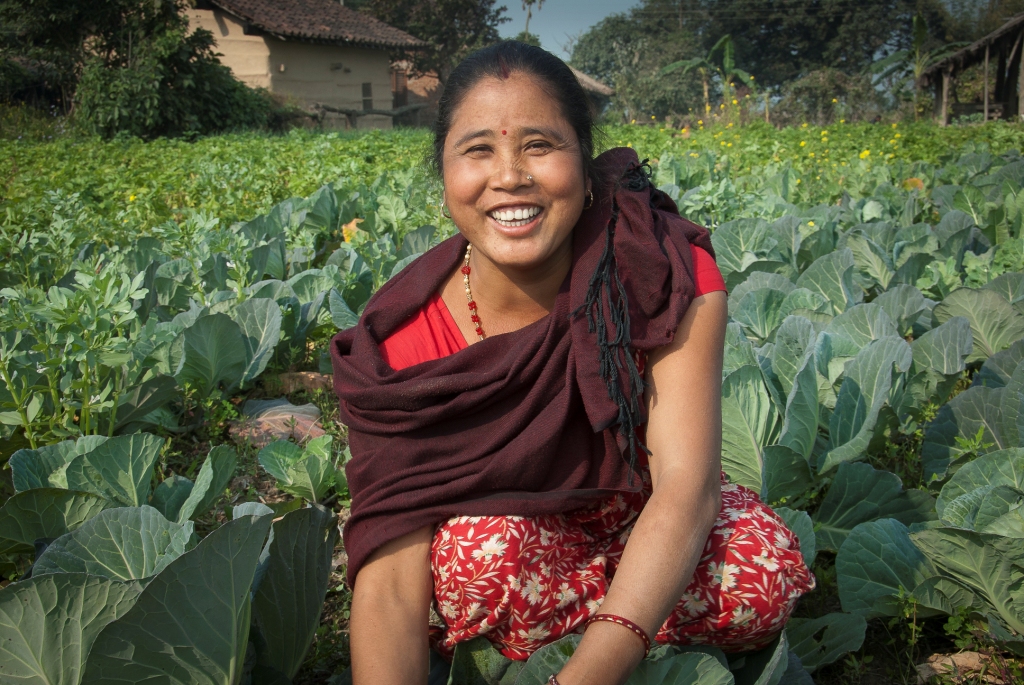 Homestead food production in Asia: Biodiversity for Food and Nutrition